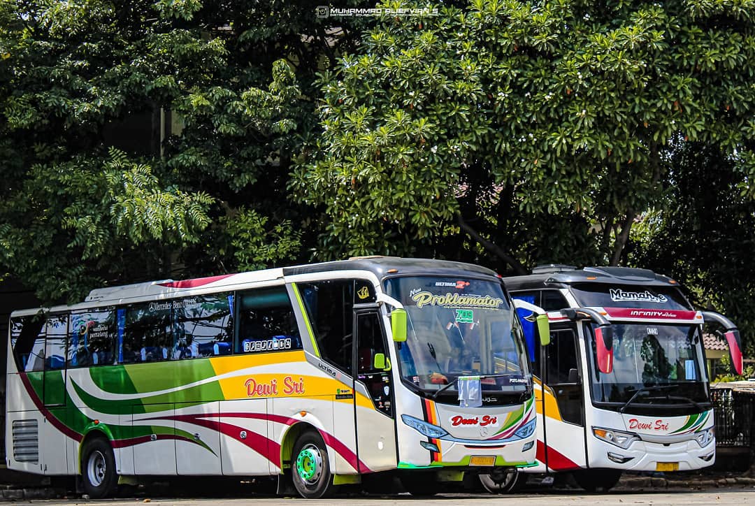 Berapa Harga Tiket Bus Dewi Sri? Panduan Lengkap untuk Penumpang ...